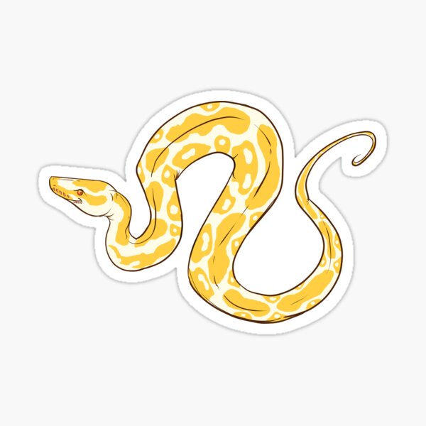 "Cute Albino Ball Python" Sticker for Sale by TwilightSaint0 | Redbubble