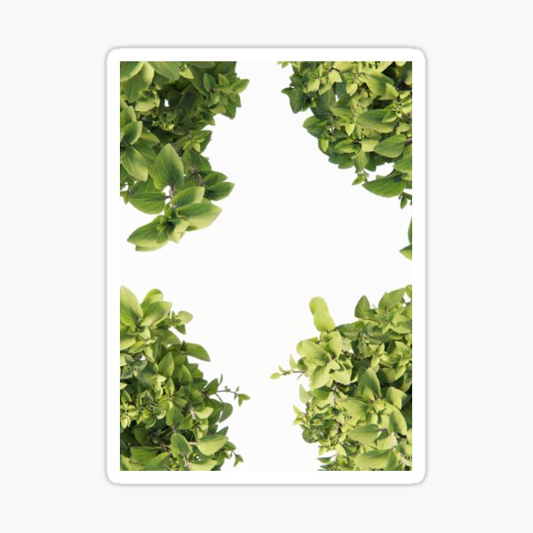 "Oregano - PLANT3D 00069" Sticker for Sale by jcvangennip | Redbubble