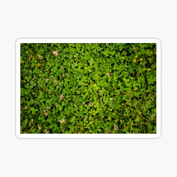 "Cloverfield" Sticker for Sale by arc1 | Redbubble