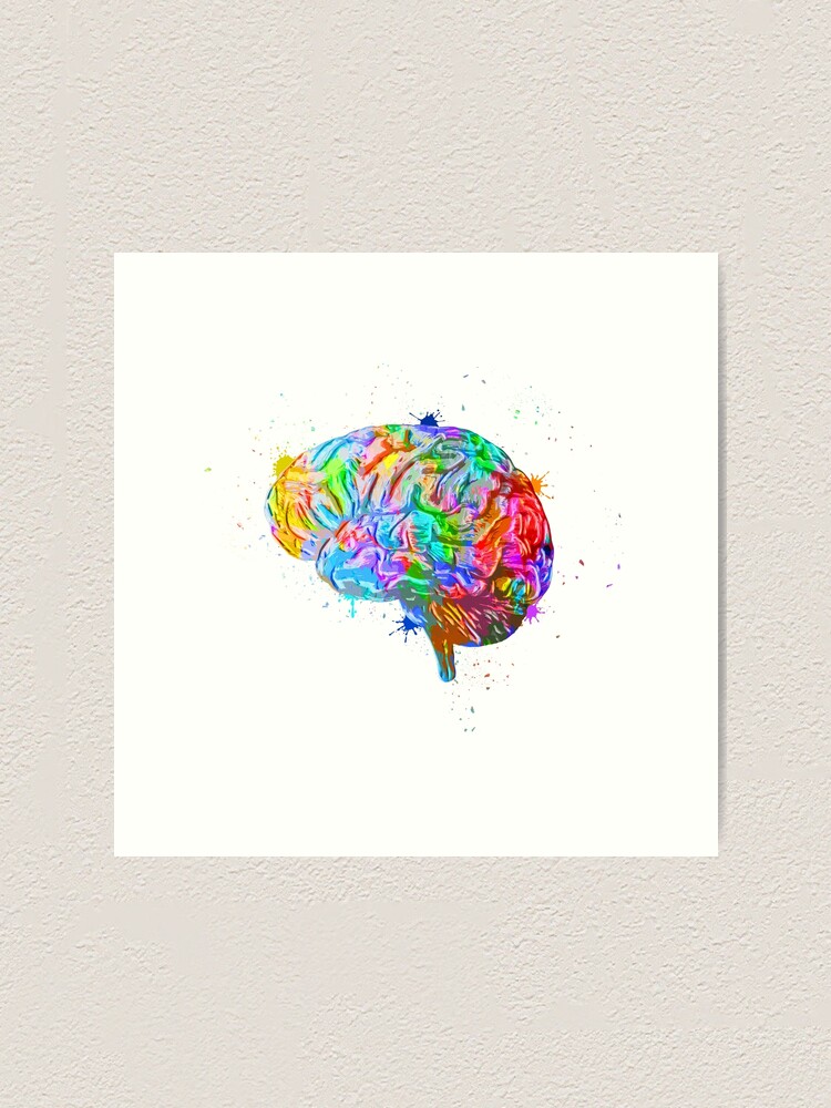 "Human Brain Anatomy : Colorful anatomical Brain in Watercolor and ink ...