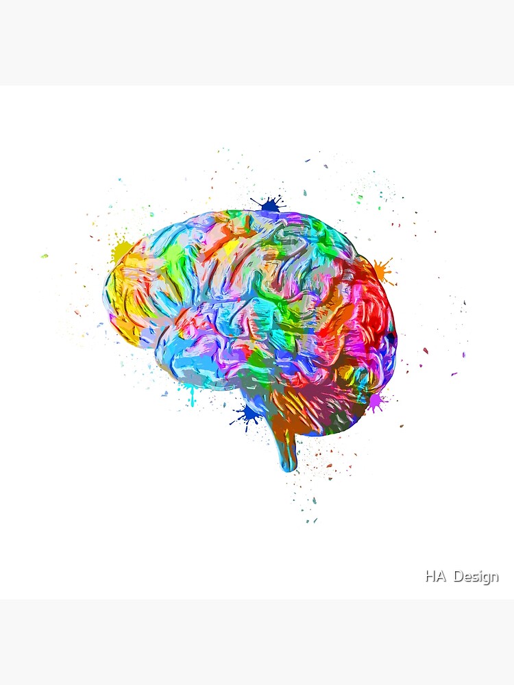 "Human Brain Anatomy : Colorful anatomical Brain in Watercolor and ink ...