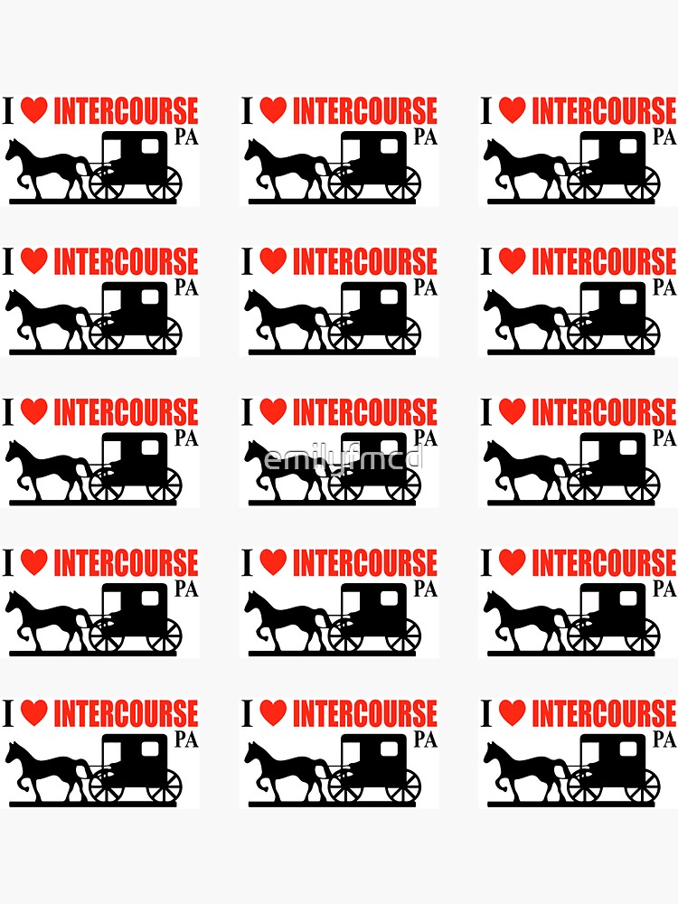 "I Love Intercourse PA -- sticker pack" Sticker for Sale by emilyfmcd ...