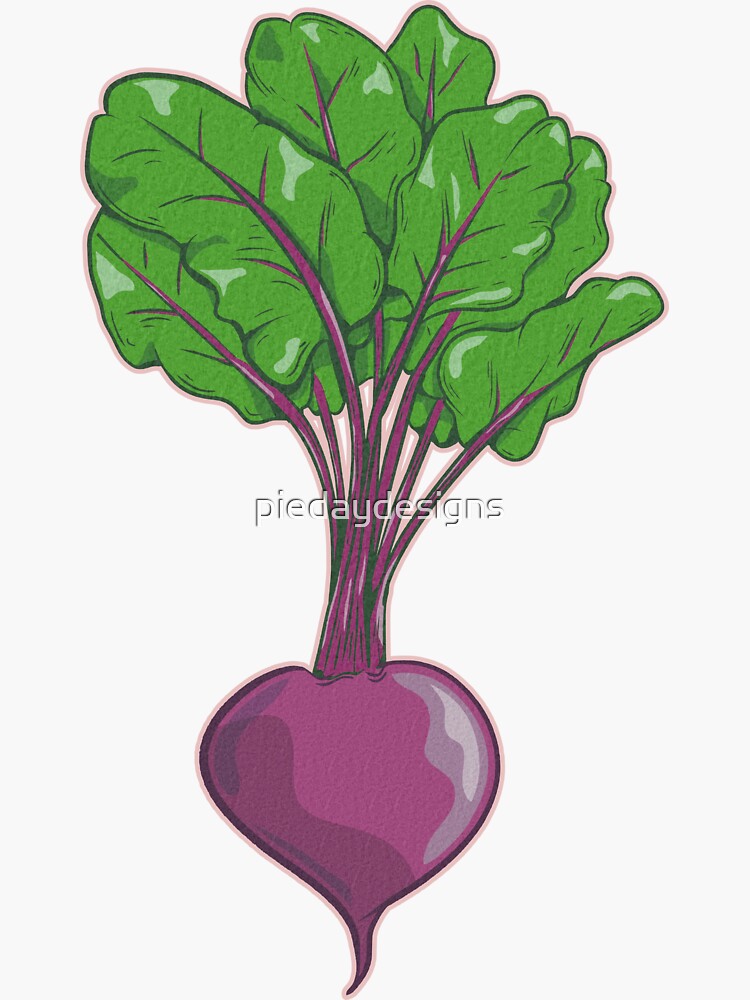 "Beetroot beets" Sticker for Sale by piedaydesigns | Redbubble