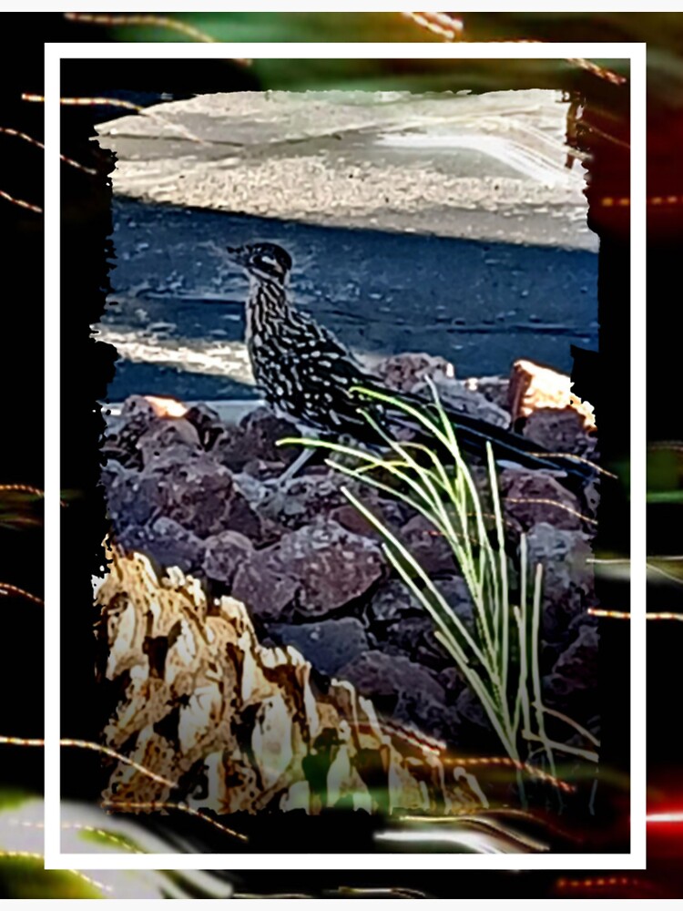 "Rowdy the Roadrunner" Sticker for Sale by Vegasposters | Redbubble