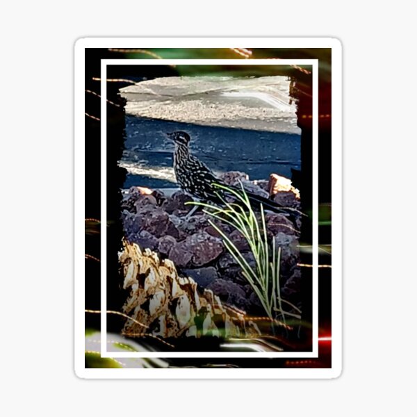 "Rowdy the Roadrunner" Sticker for Sale by Vegasposters | Redbubble