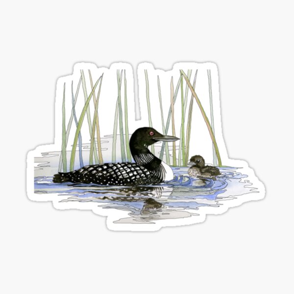 "Loon " Sticker for Sale by BeastMaximus | Redbubble
