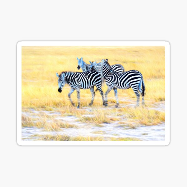 "Zebras in the African Savannah." Sticker for Sale by pravinechester ...
