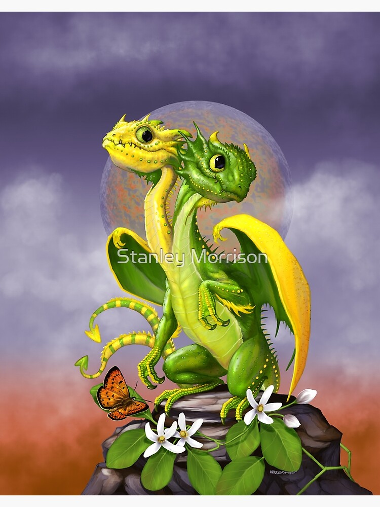 "Lemon Lime Dragon" Canvas Print for Sale by SMorrisonArt | Redbubble
