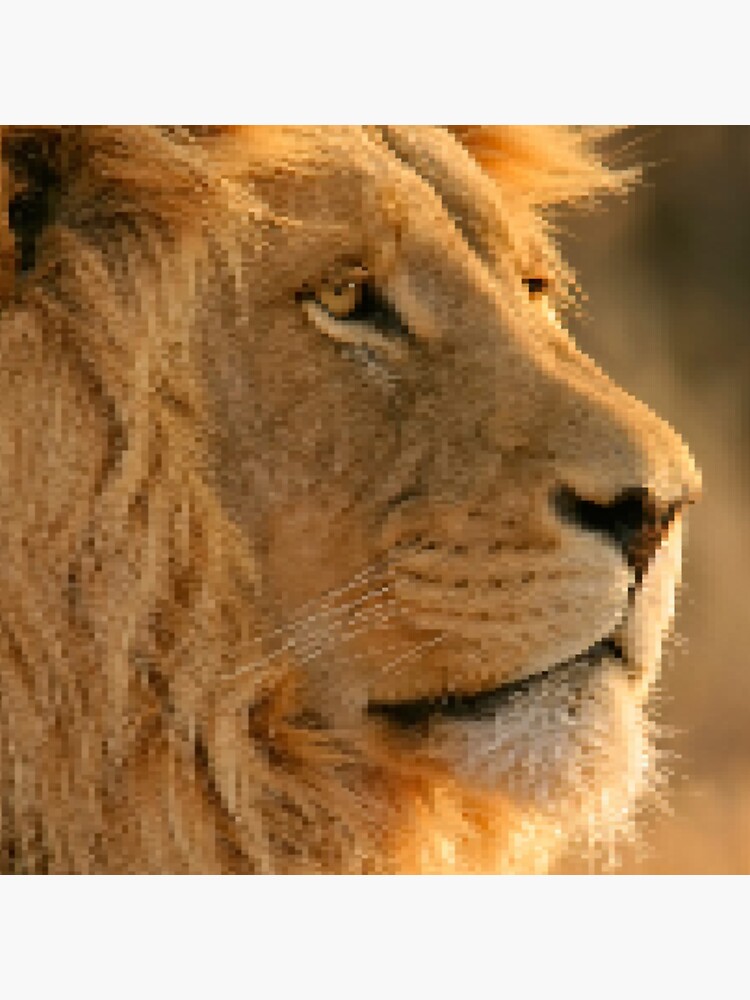 "16-Bit Pixel Art Lion Portrait Close Up" Sticker for Sale by ...