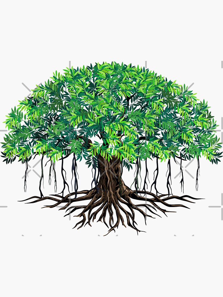 "Banyan Tree Wall Art" Sticker for Sale by ArgDesigner | Redbubble