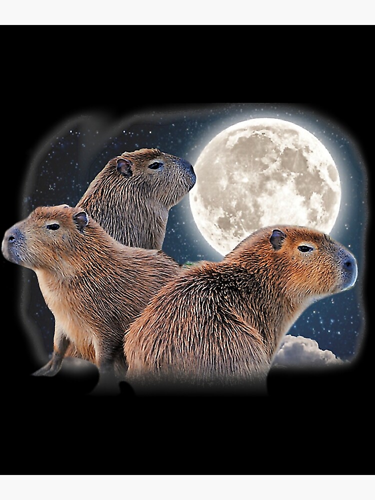 "Three Capybaras and Moon Funny Capybara Humor Parody" Art Print for ...