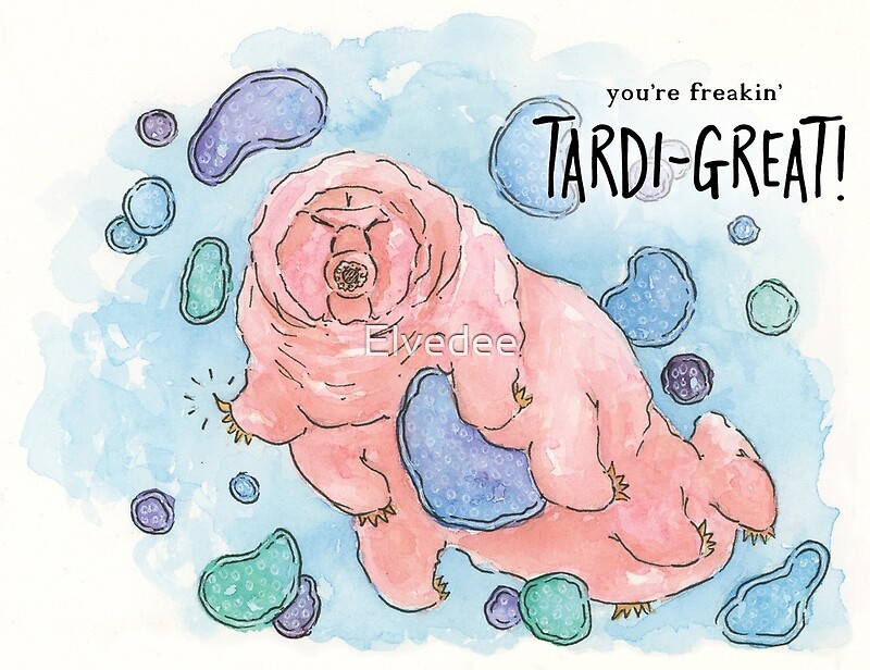 "Tardi-GREAT Tardigrades!!" by Elvedee | Redbubble