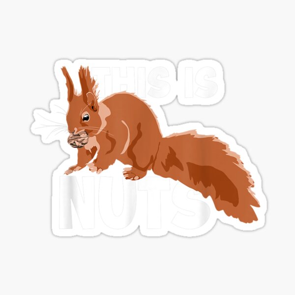 "This Is Nuts Fox Squirrel Grey Squirrel " Sticker for Sale by aumarian | Redbubble