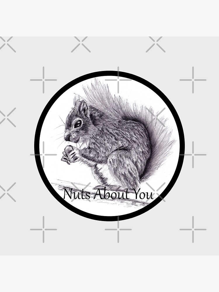 "Nuts About You - Squirrel Pencil Drawing" Sticker for Sale by ...