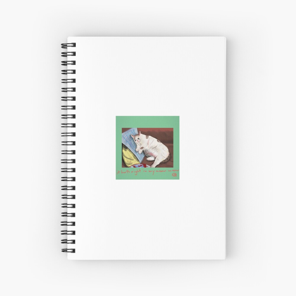 "sad cat meme" Spiral Notebook for Sale by atmosphereburns | Redbubble