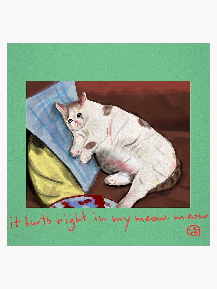 "sad cat meme" Sticker for Sale by atmosphereburns | Redbubble