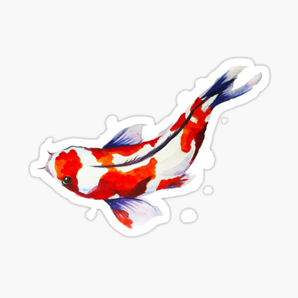 "Koi fish" Sticker for Sale by DyahaStore | Redbubble
