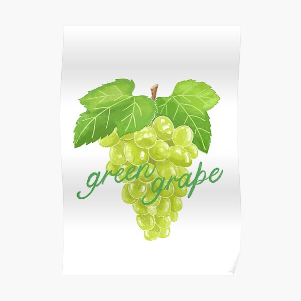 "Green grape" Poster for Sale by popping-popping | Redbubble