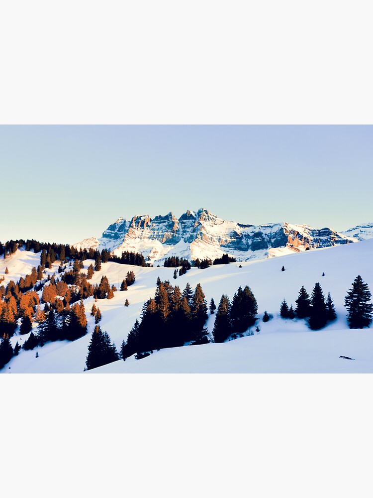 "White Snowy Mountains, Pine Trees and Beautiful Clear Sky" Sticker for ...