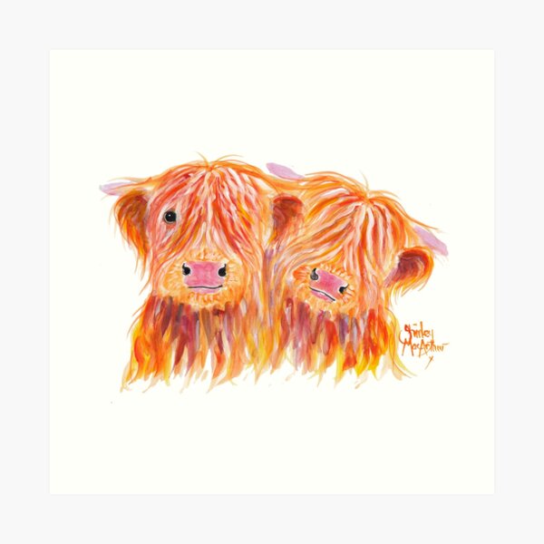 "HIGHLAND COWS 'BUDDIES' By Shirley MacArthur" Art Print for Sale by ...