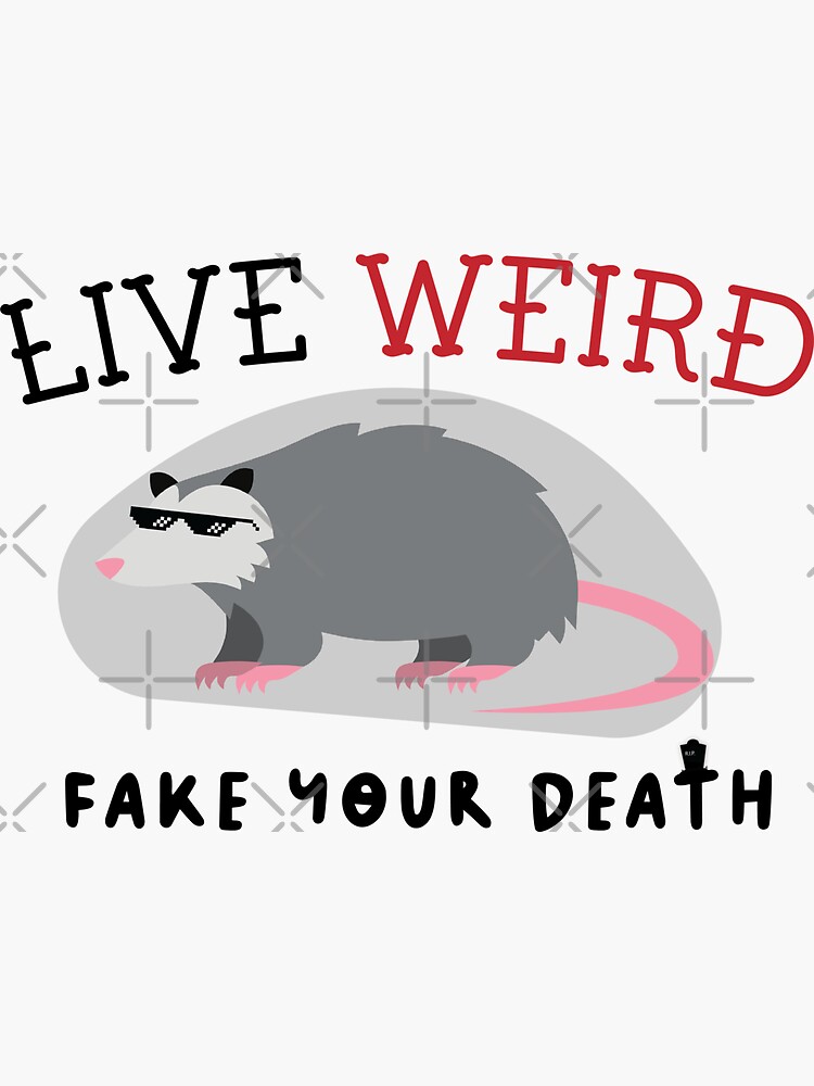 "live weird fake your death , Funny Possum Quote ." Sticker for Sale by ...