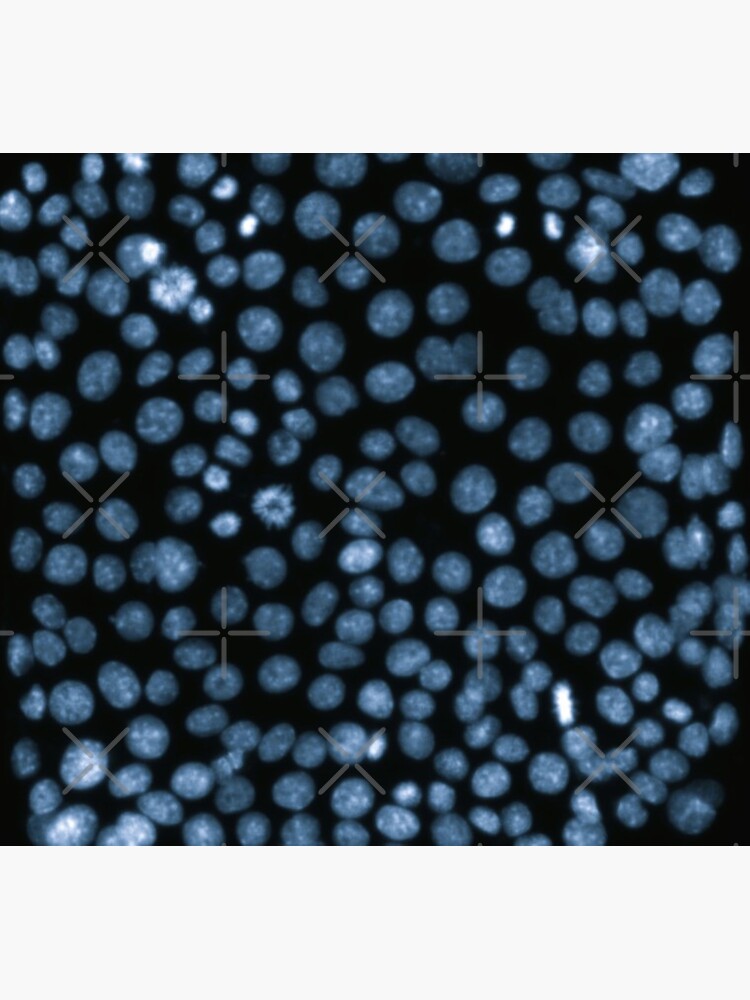 "Cool blue nuclei in epithelial cells. Nature inspired polka-dots ...