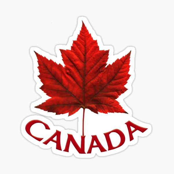 "Canada Souvenir Shirts Canada Maple Leaf Souvenirs" Sticker for Sale ...