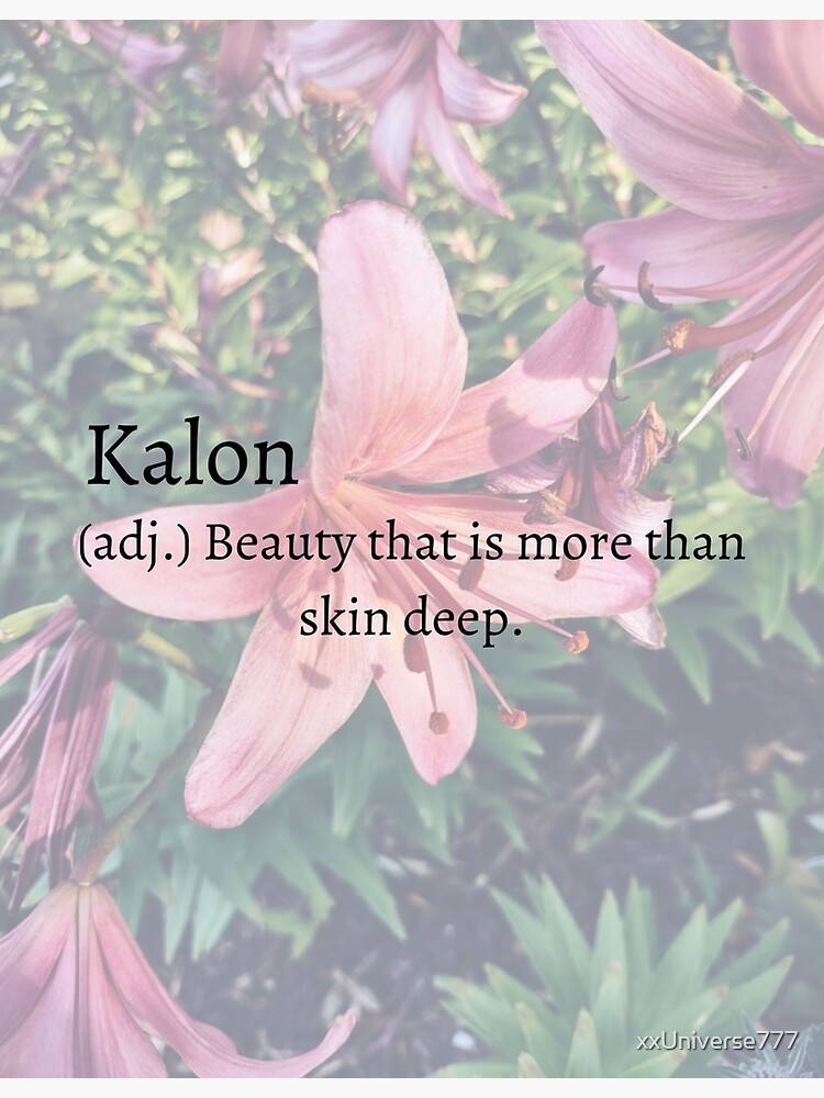 "Aesthetic Word Definition - Word Of The Day" Poster for Sale by ...