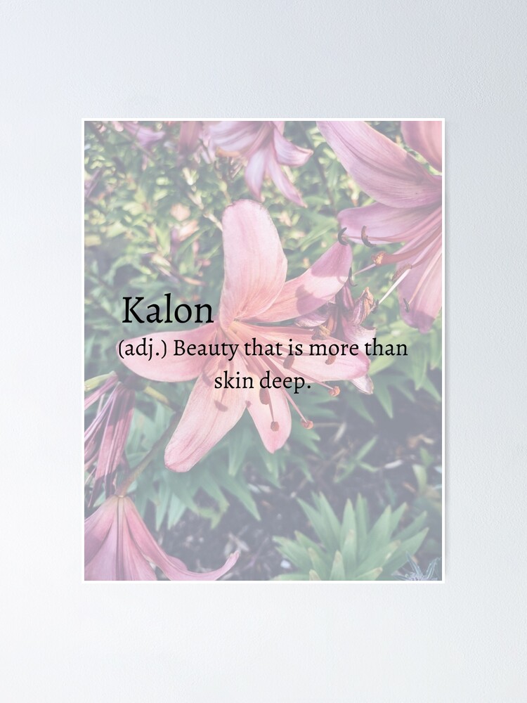 "Aesthetic Word Definition - Word Of The Day" Poster for Sale by ...