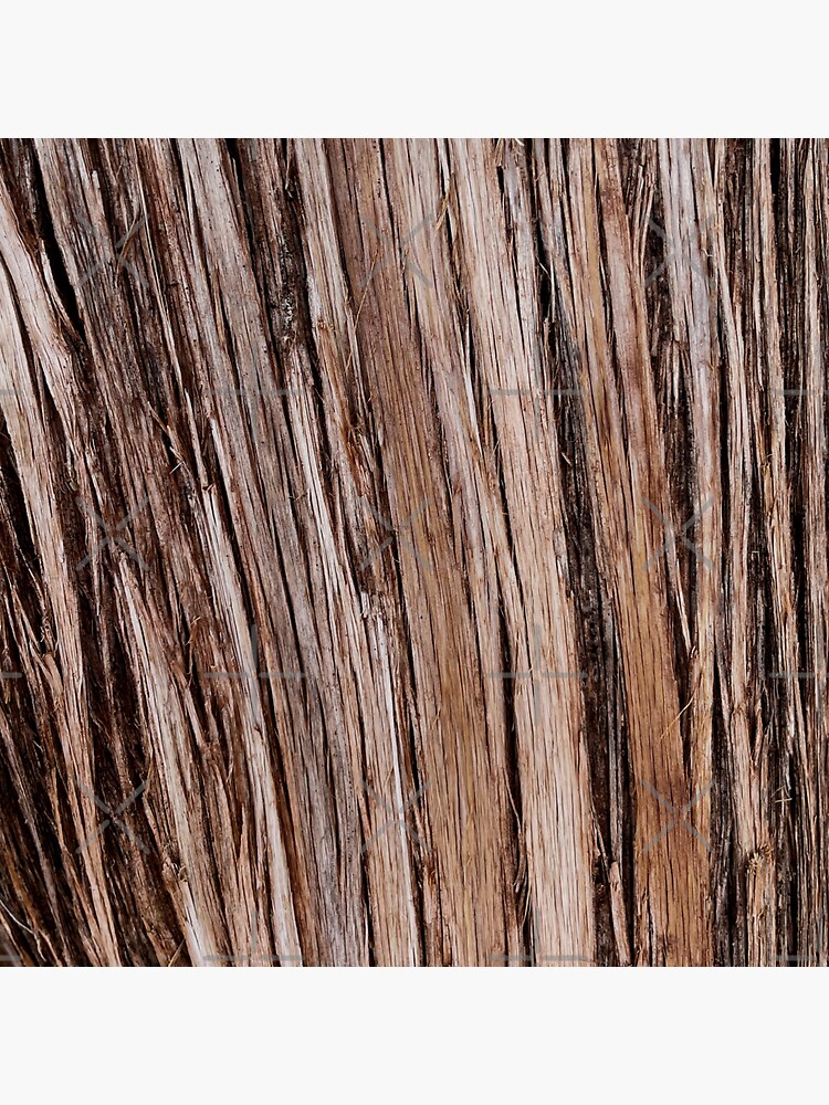 "Southwest cedar tree bark" Sticker for Sale by hollycooper | Redbubble