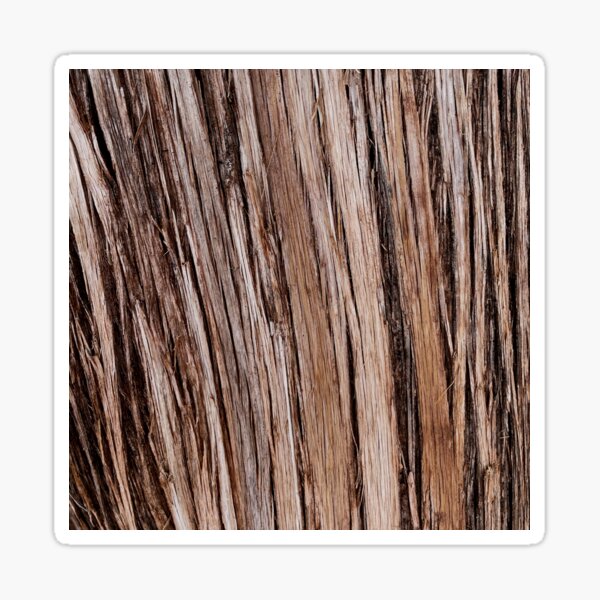 "Southwest cedar tree bark" Sticker for Sale by hollycooper | Redbubble