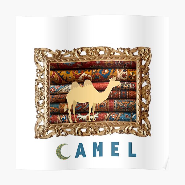 "CAMEL CULTURE SAHARA" Poster for Sale by habibeddinee | Redbubble