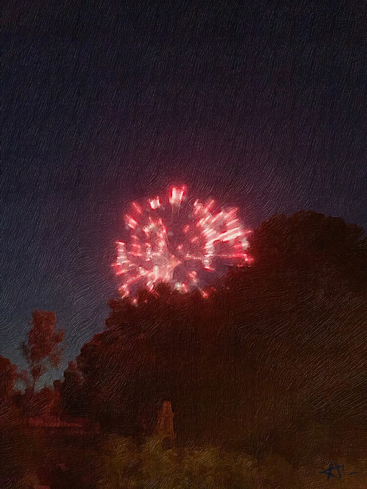 "Backyard Fireworks " Poster for Sale by OhioSunshine | Redbubble