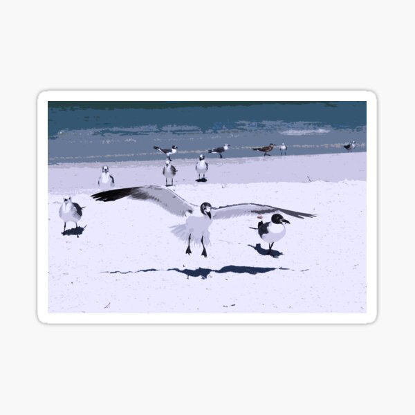 "seagull" Sticker for Sale by YB-YB | Redbubble