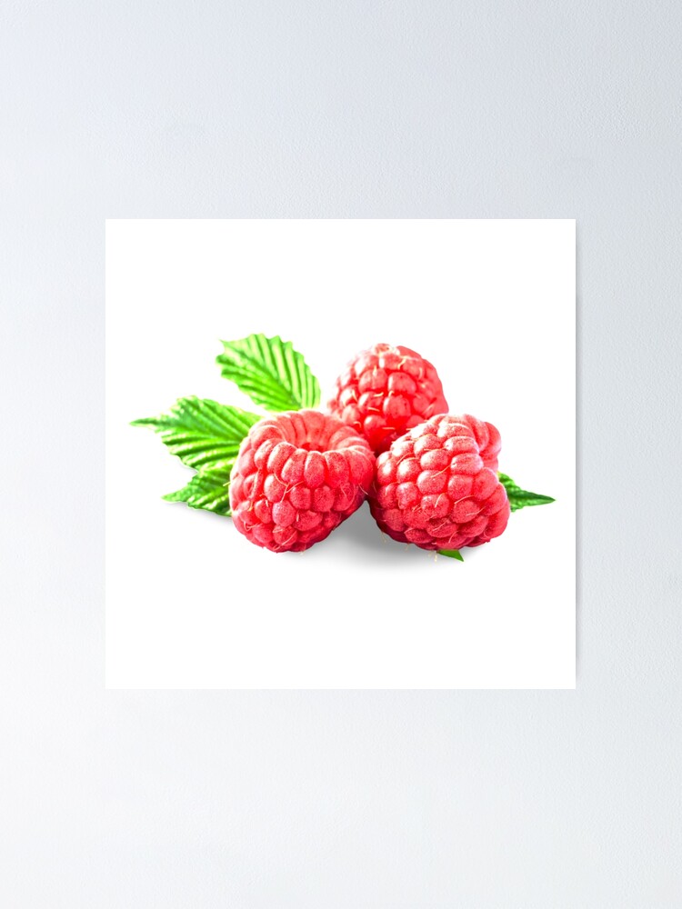 "Cute and beautiful raspberry fruit, black raspberry, fruit lovers ...