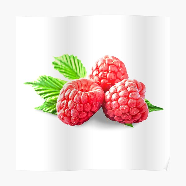 "Cute and beautiful raspberry fruit, black raspberry, fruit lovers ...