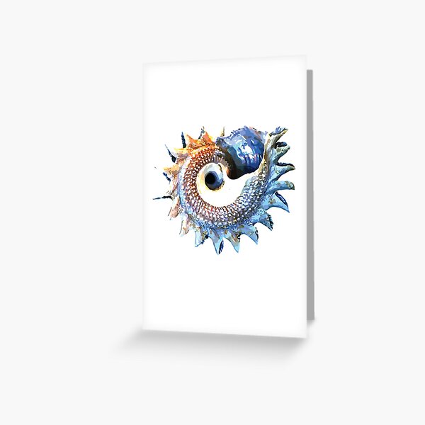 "Conch Shell Pearl Golden Ratio Spiral Fibonacci" Greeting Card for ...