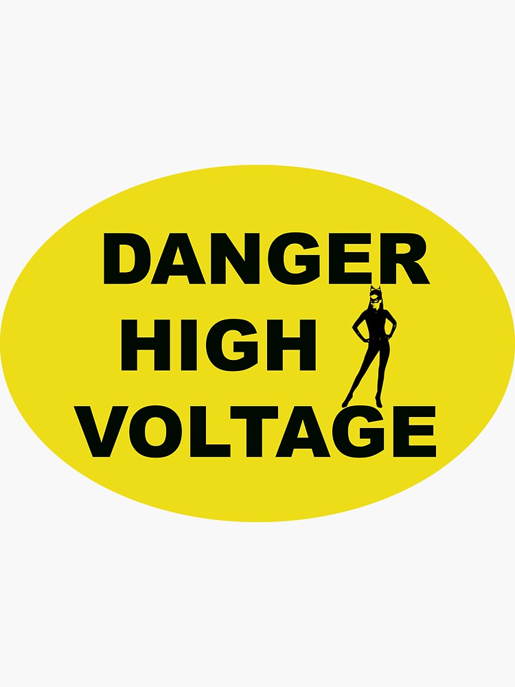 "DANGER HIGH VOLTAGE cat lady industrial style sign" Sticker for Sale ...