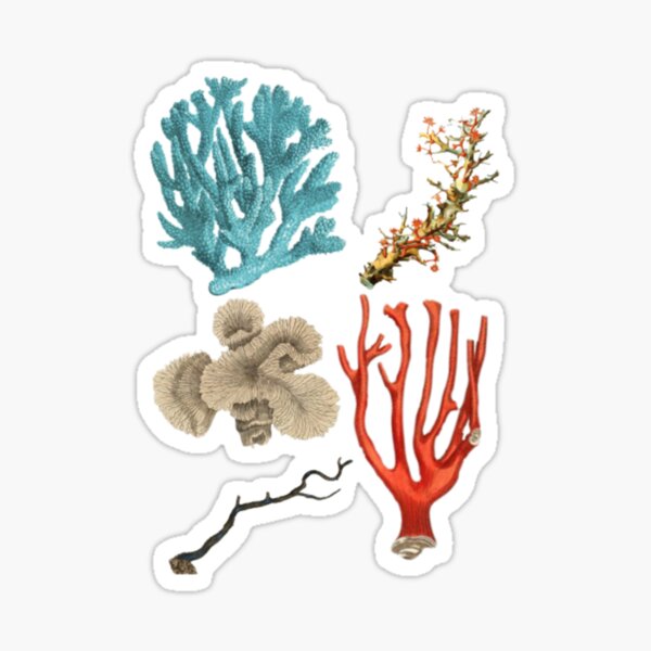"Some amazing seaweed" Sticker for Sale by medben003 | Redbubble