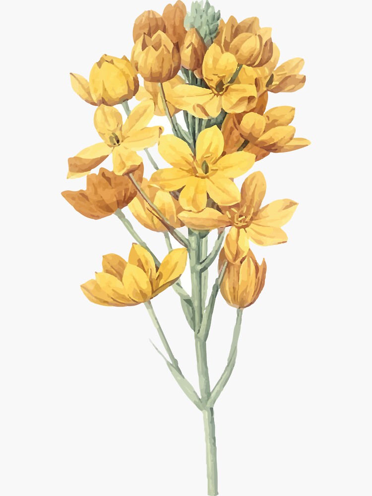 "Beautiful yellow flower" Sticker for Sale by adnan-nsr | Redbubble