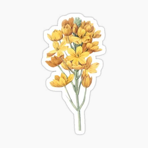 "Beautiful yellow flower" Sticker for Sale by adnan-nsr | Redbubble