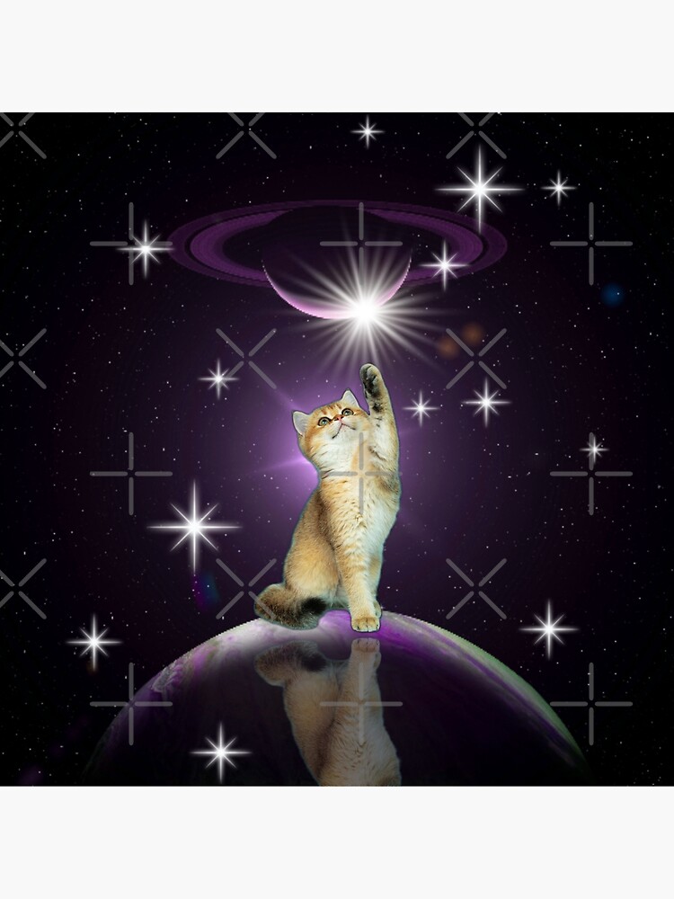 "Cosmic Kitty..A fantasy design of a cute cat playing with the stars in ...