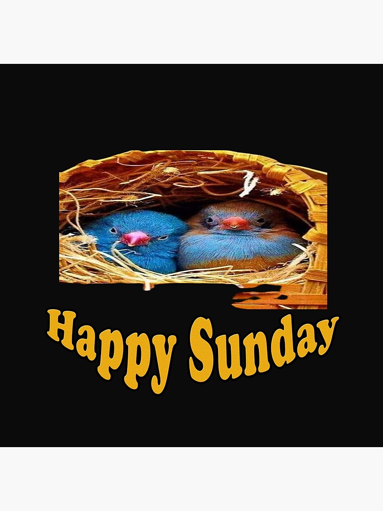 "Happy Sunday, birds, Motivational and Inspirational quotes," Art Print ...