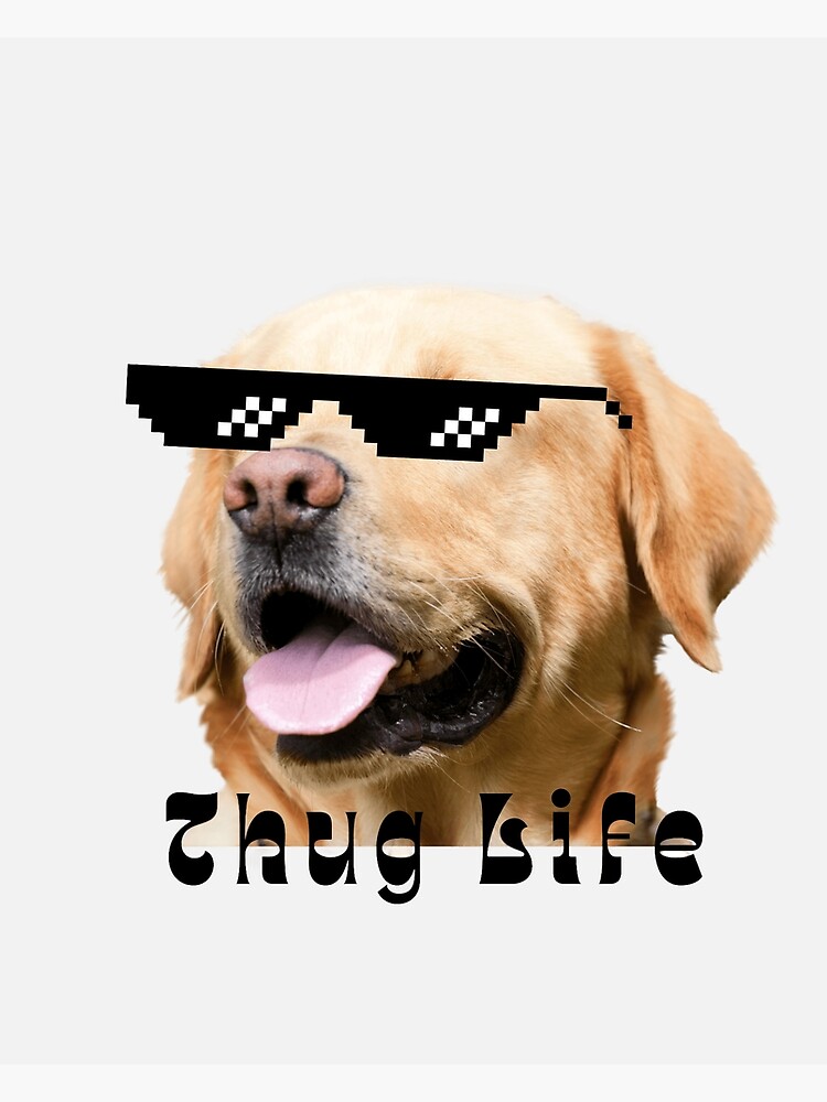 "Thug life cool dog" Poster for Sale by ScriptTours | Redbubble
