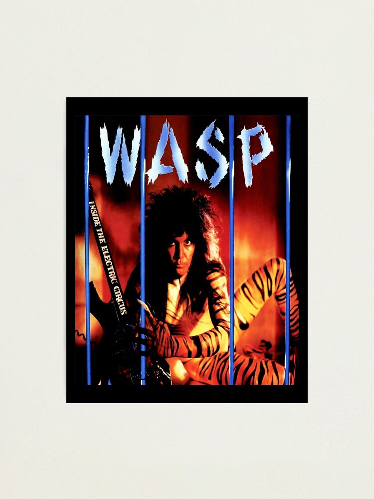 "wasp band, wasp, band, heavy metal, blackie lawless, chris holmes ...