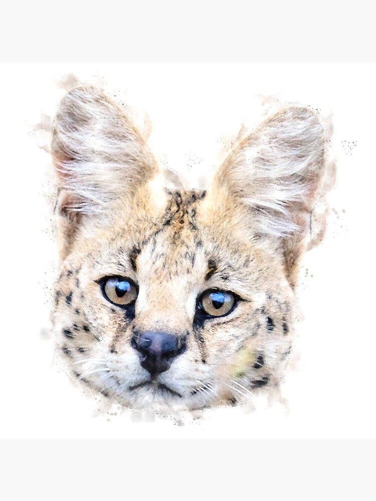 "Serval Watercolour Artwork" Poster for Sale by Typeglyphs | Redbubble