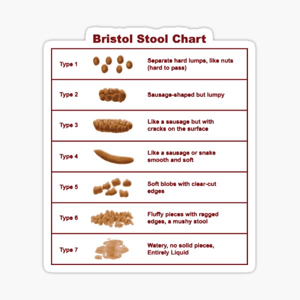 "Bristol Stool Chart Scale" Sticker for Sale by AlexMooren | Redbubble