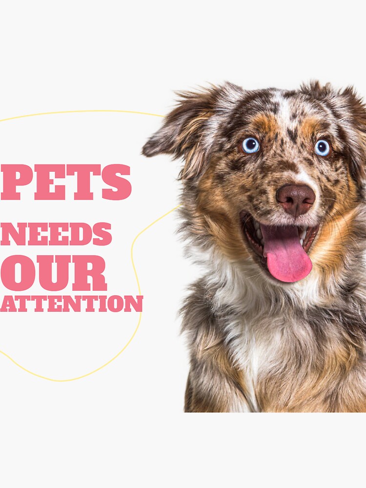 "Pets needss our attention" Sticker for Sale by Hassan669 | Redbubble