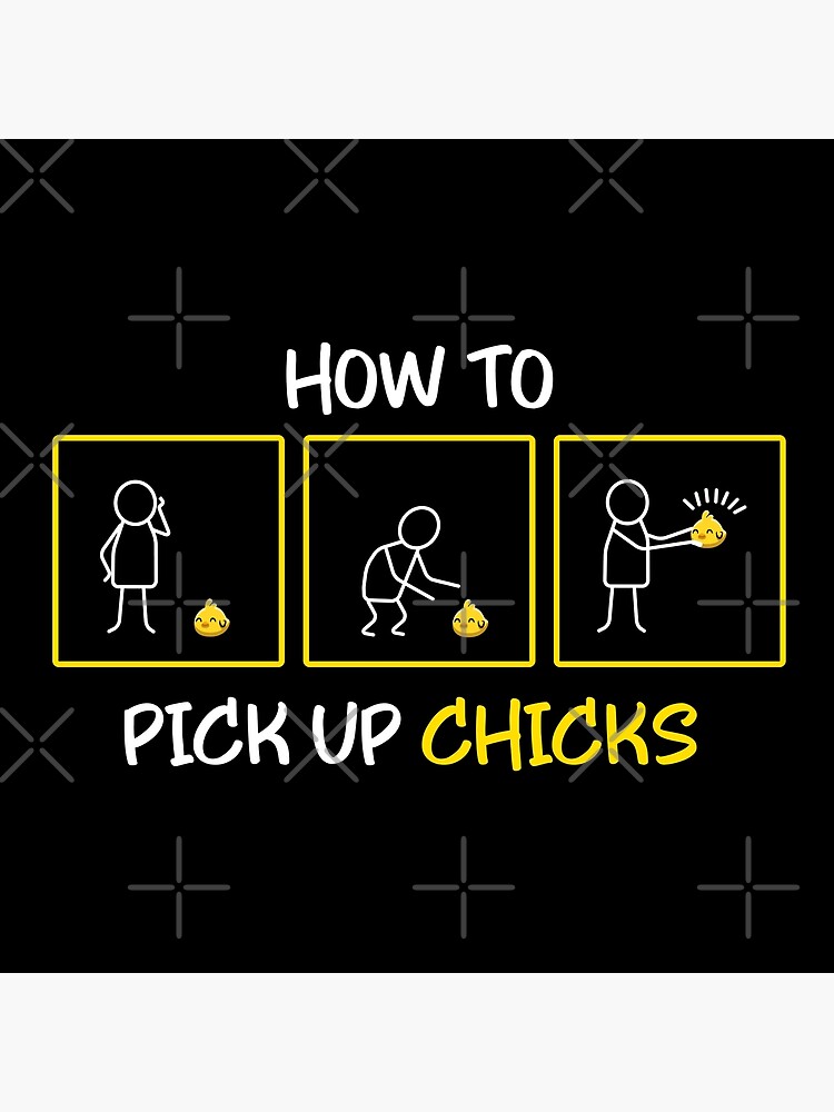 Basic Guidelines for How To Pick Up Chicks Premium Matte Vertical ...