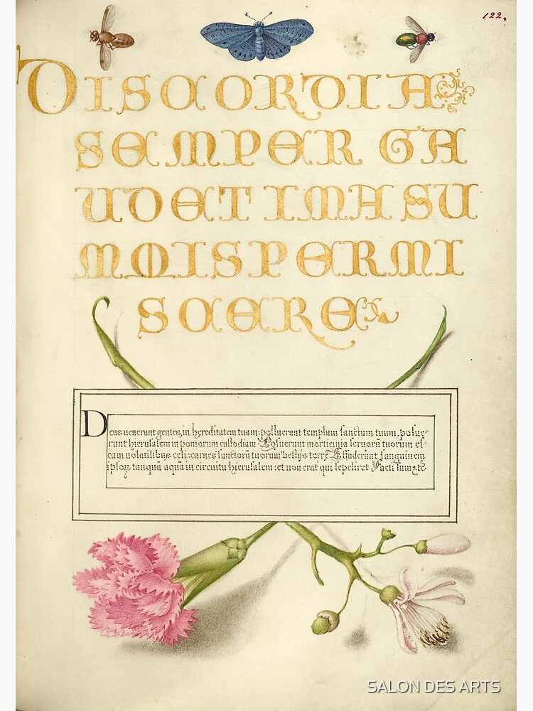 "Insects and Flowers (1561-1596) - Medieval Illuminated Manuscript ...